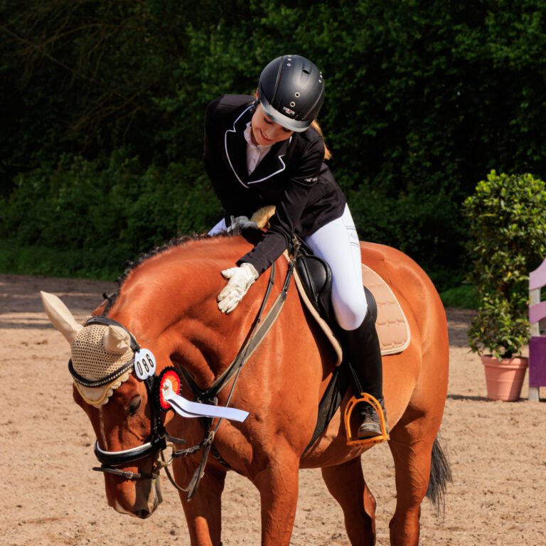 Großes Reitturnier – Reitverein Schwabach