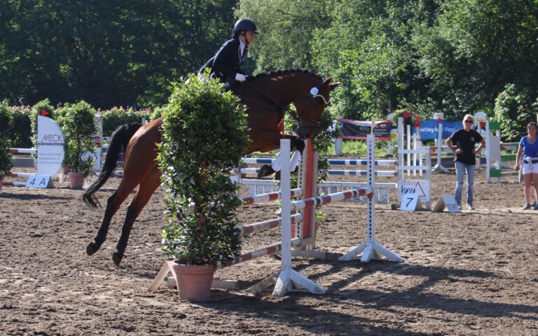 Großes Reitturnier – Reitverein Schwabach